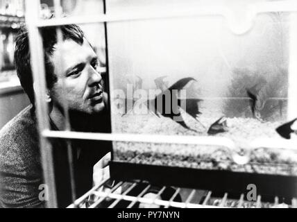 Original Film Title: RUMBLE FISH. English Title: RUMBLE FISH. Film ...