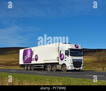 GIST,transforming supply chains, HGV Heavy goods lorries, DAF trucks ...