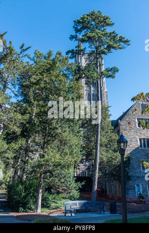 View of the Duke University campus Stock Photo - Alamy