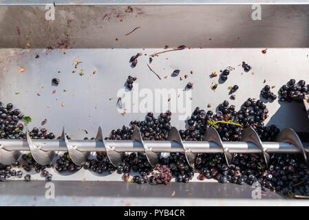 corkscrew crusher destemmer winemaking with grapes Stock Photo - Alamy