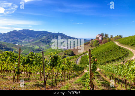Durbach, Castle Staufenberg, Black Forest, Germany Stock Photo - Alamy