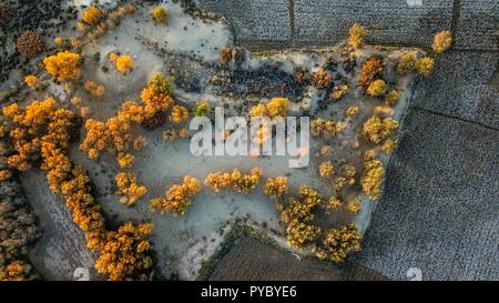 Bachu. 23rd Oct, 2018. Aerial photo taken on Oct. 23, 2018 shows the ...