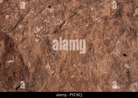 detail of layers of sediments inside of zachelmie quarry in holly cross ...