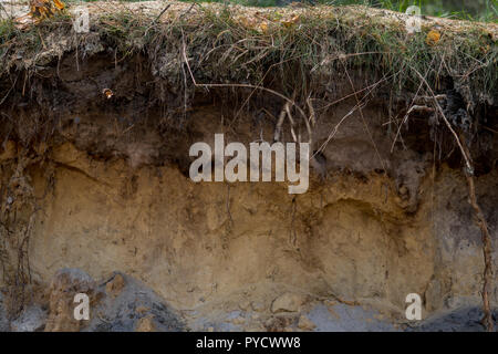 detail of a layers of podzol soil with visible borders Stock Photo - Alamy
