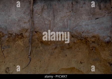 detail of a layers of podzol soil with visible borders Stock Photo - Alamy