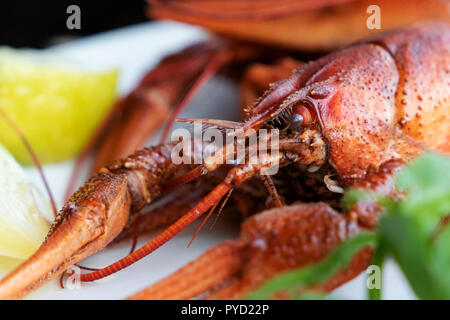 A close up of a spicy seafood or crayfish curry to be served with ...