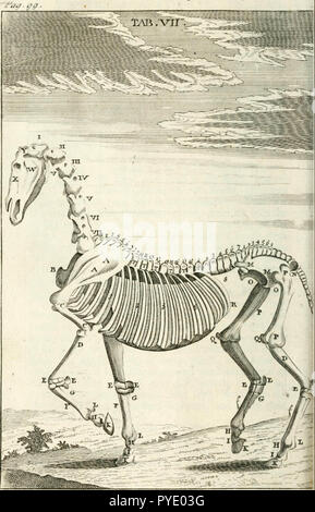 The farrier's new guide. Containing, first, The anatomy of a horse ...