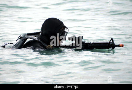 Navy SEALs in action Stock Photo - Alamy