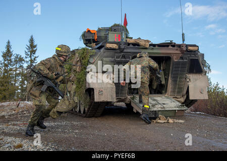 German mechanized infantry combat vehicle, 1942 Stock Photo - Alamy