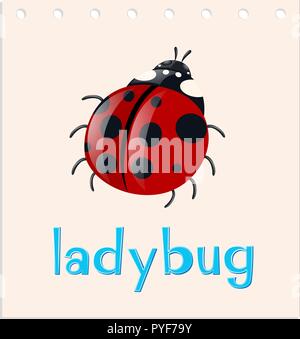 Vocabulary flashcard with word Ladybug illustration Stock Vector Image ...