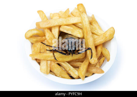 The offer of a fast food with edible insects. A fried Giant Water Bug ...