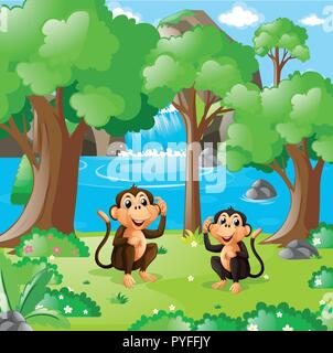 Monkeys in tropical forest. Cartoon monkey hang on vine, jungle wild ...