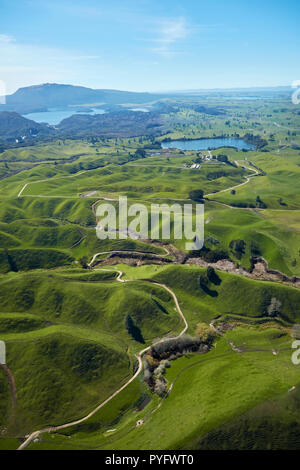 Farmland near Rotorua, North Island, New Zealand - aerial Stock Photo ...