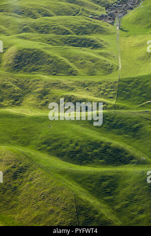 Farmland near Rotorua, North Island, New Zealand - aerial Stock Photo ...