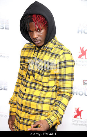PHILADELPHIA, PA - OCTOBER 26: Zah Juicewrld pictured backstage at ...