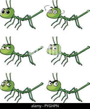 Stick insect with angry face illustration Stock Vector Image & Art - Alamy