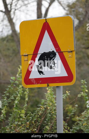 A road sign warning of frogs crossing, 'beware of the Frog', Mechelen ...