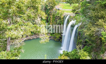 Scenic reserve surrounding the famous Whangerei waterfall 26 m. high on ...