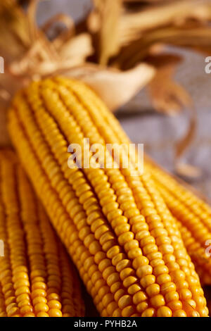 Dried corn at a Lancaster County, Pennsylvania farmer's market Stock ...