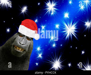 Merry Christmas a funny chimpanzee monkey wearing a elf hat isolated on ...