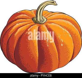 how to draw pumpkin and colour