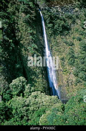 Aerial view of Hawaii with a landscape of deep green vegetation, rivers ...