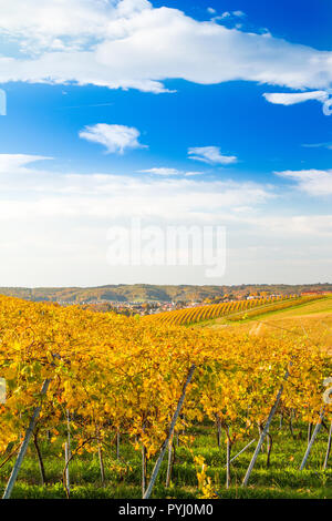 Croatia, Daruvar, colorful countryside autumn landscape and beautiful ...