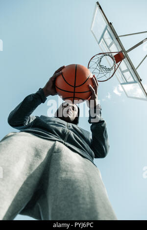 A low angle shot of a bright orange Northern cardinal perched on a dry ...