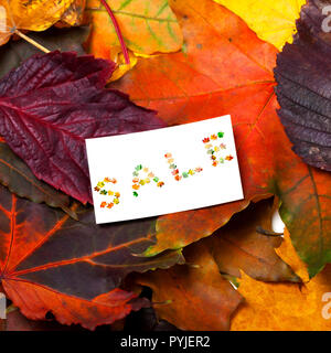 Autumn red leaves and white price card with word SALE composed of ...