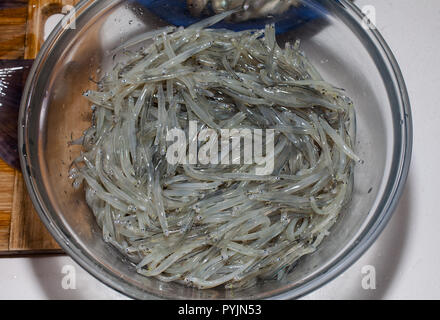 New Zealand whitebait Stock Photo - Alamy