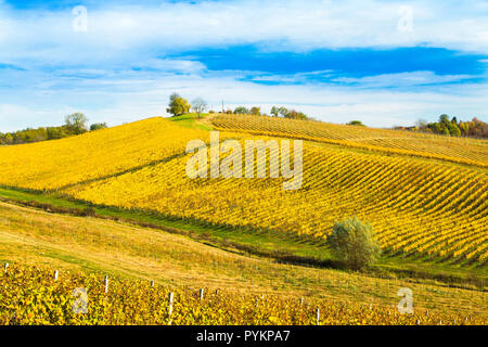 Croatia, Daruvar, colorful countryside autumn landscape and beautiful ...