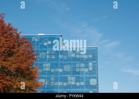 Blue university building in Groningen, with a autumn coloured tree on ...