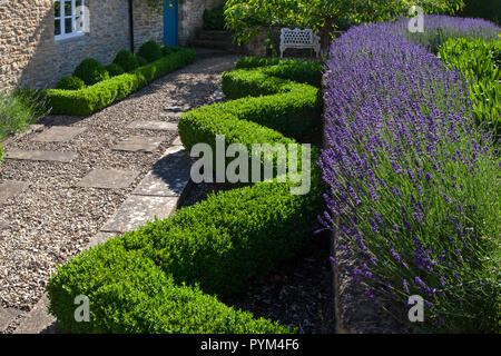 Formal Garden Lavender Box Hedging Topiary Nature 17th Century Stuart ...