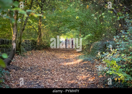 Mountain Bikers in Judy Woods, Wyke, Bradford, West Yorkshire, England ...