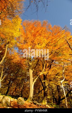 Autumn Colours West Yorkshire England Moody Skies Reservoir Water ...