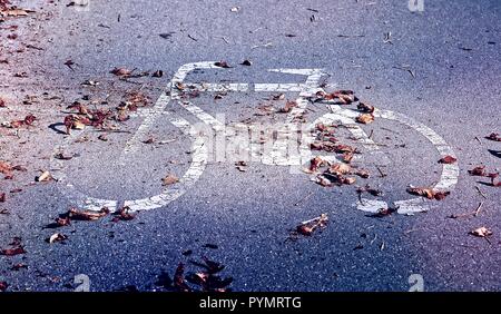 Bicycle road sign in autumn time Stock Photo - Alamy