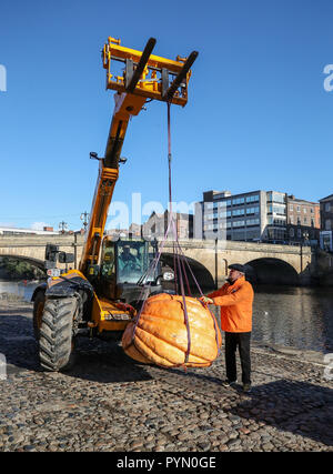 A pumpkin is lowered into the water before being carved into a boat at ...