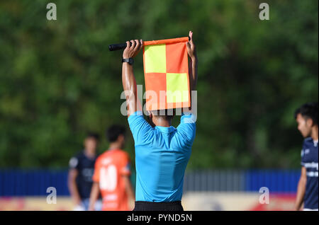 Assistant referee hold flag , substitution signal Stock Photo - Alamy