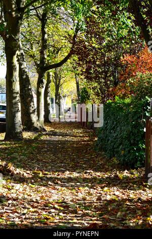 Colourful image of Hartburn Village and its' traditional old British ...