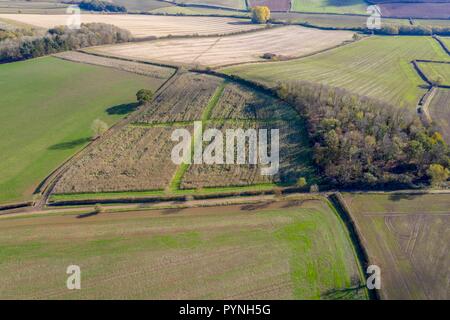 Government funded Countryside Stewardship Scheme Tree Planting Stock ...