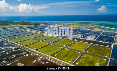 Top aerial shot of salt extraction pools in Pejarakan, north west of ...