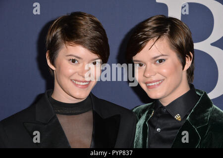 Emily Hinkler and Elizabeth Hinkler at "Boy Erased" Los Angeles special ...