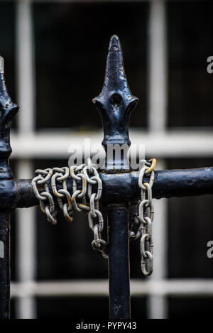 old metal gate with chain and string with cobwebs and wild flowers ...