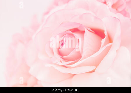 Sweet color roses made with gradient in soft style for abstract ...