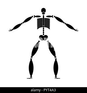 Fat skeleton. Wide bone. Fat Man Anatomy Vector Illustration Stock ...