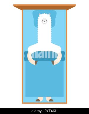 Llama Sleeping in bed. Lama Cute animal alpaca. cartoon vector Stock ...