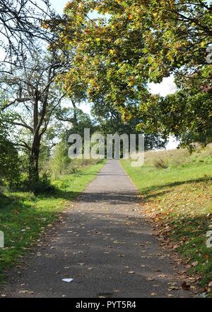 Mote Park, Maidstone Stock Photo - Alamy