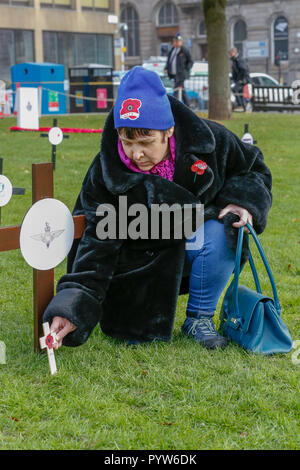 Poppies in the Remembrance Garden at the Royal British Legion in ...