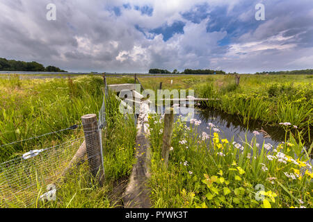 Wildlife crossing culvert pipe underpass for animals under a highway in ...