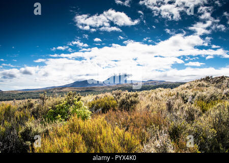 Scenic view of Tongariro national park in New Zealand Stock Photo - Alamy